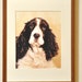 English Springer Spaniel Portrait Art, Springer Spaniel Watercolor ...