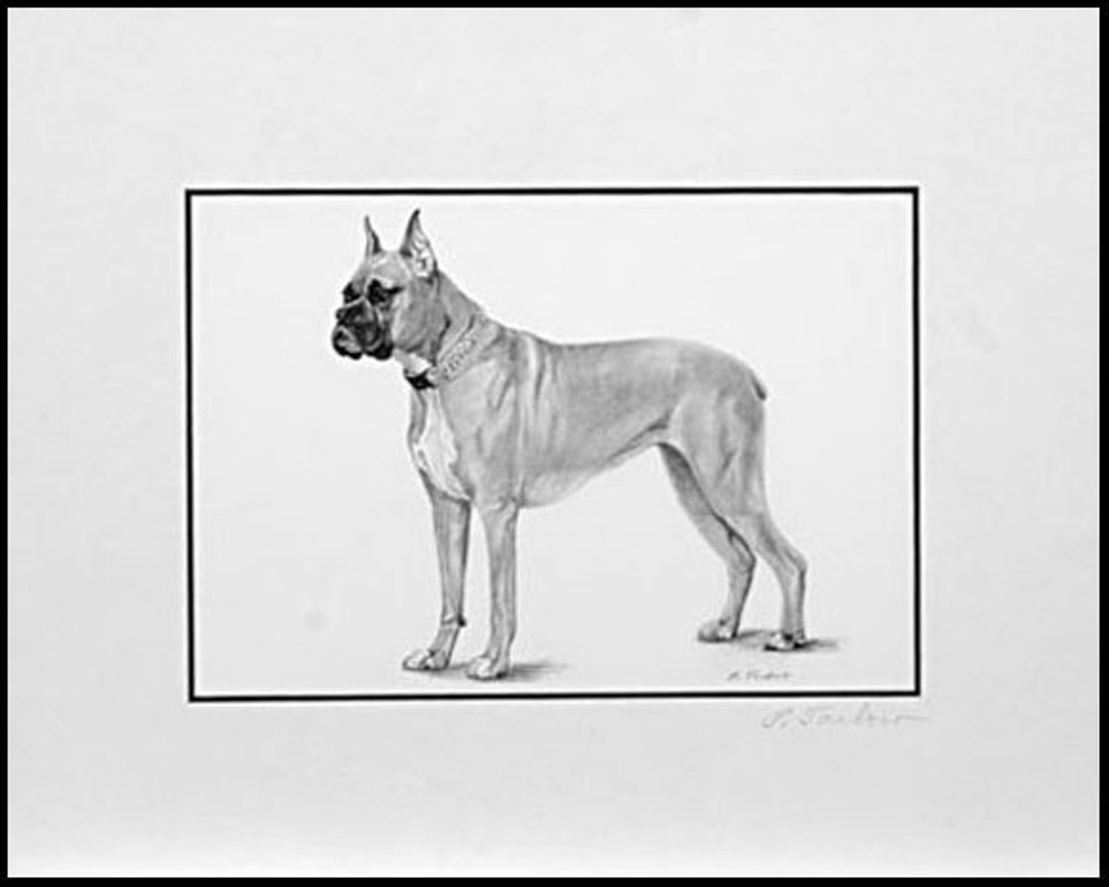 Boxer Dog Art Print Boxer Dog Pencil Drawing Dog Art Dog - Etsy