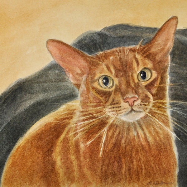Abyssinian Cat - Etsy