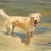 Lab Mix Art Print, Lab Mix Breed Print, Dog Beach Art, Dog at Beach Art ...