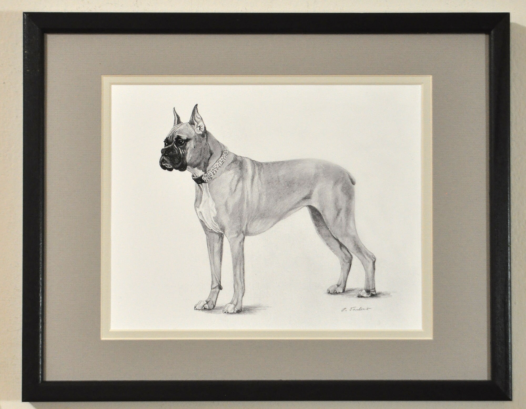 Boxer Dog Art Print Boxer Dog Pencil Drawing Dog Art Dog | Etsy