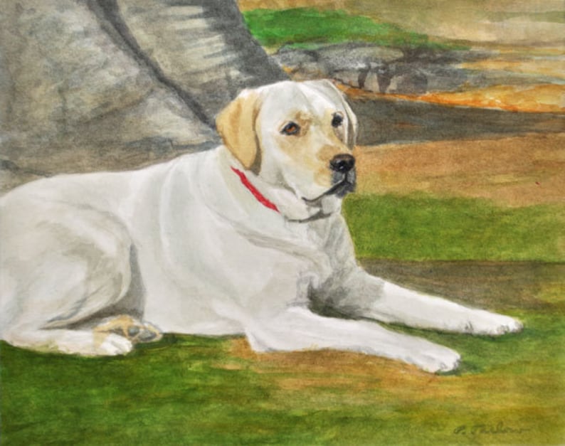 Labrador Retriever Painting Yellow Labrador Art Yellow Lab - Etsy
