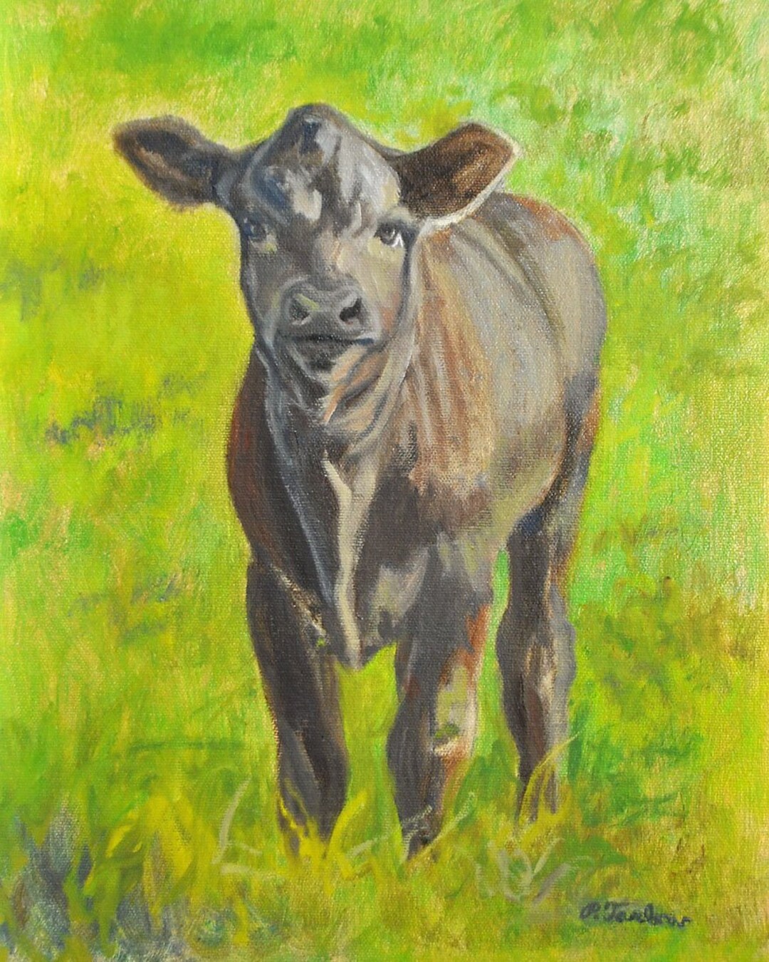 Cow Art Print, Cute Angus Calf Art, Cow Oil Painting, Farm Animal Art ...