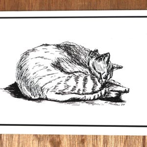 Tabby Cat Pen and Ink Notecards, Cat Greeting Cards Set of 4 5"x7 ...