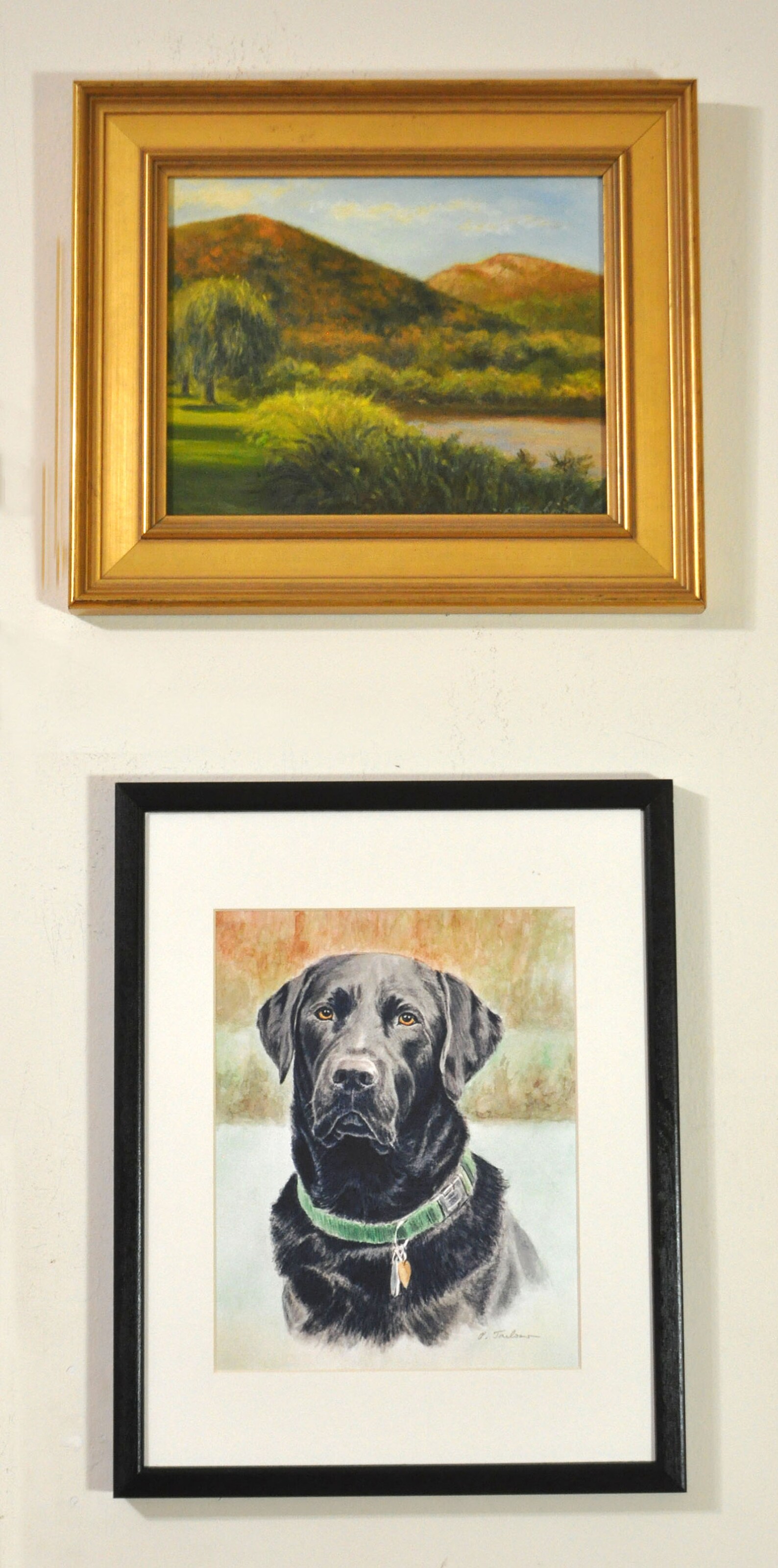 Black Labrador Retriever Art Print Labrador Retriever Art - Etsy