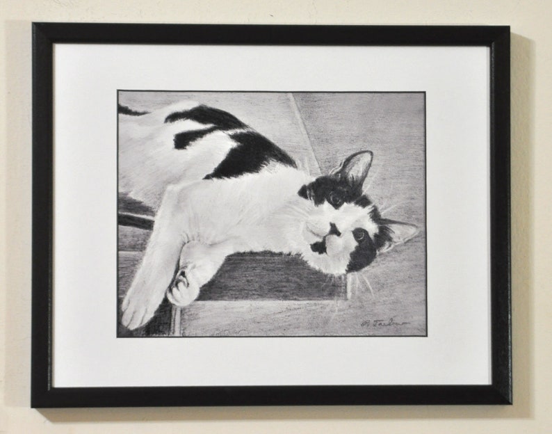 Black and White Cat Art Cat Drawing Art Print Black and - Etsy