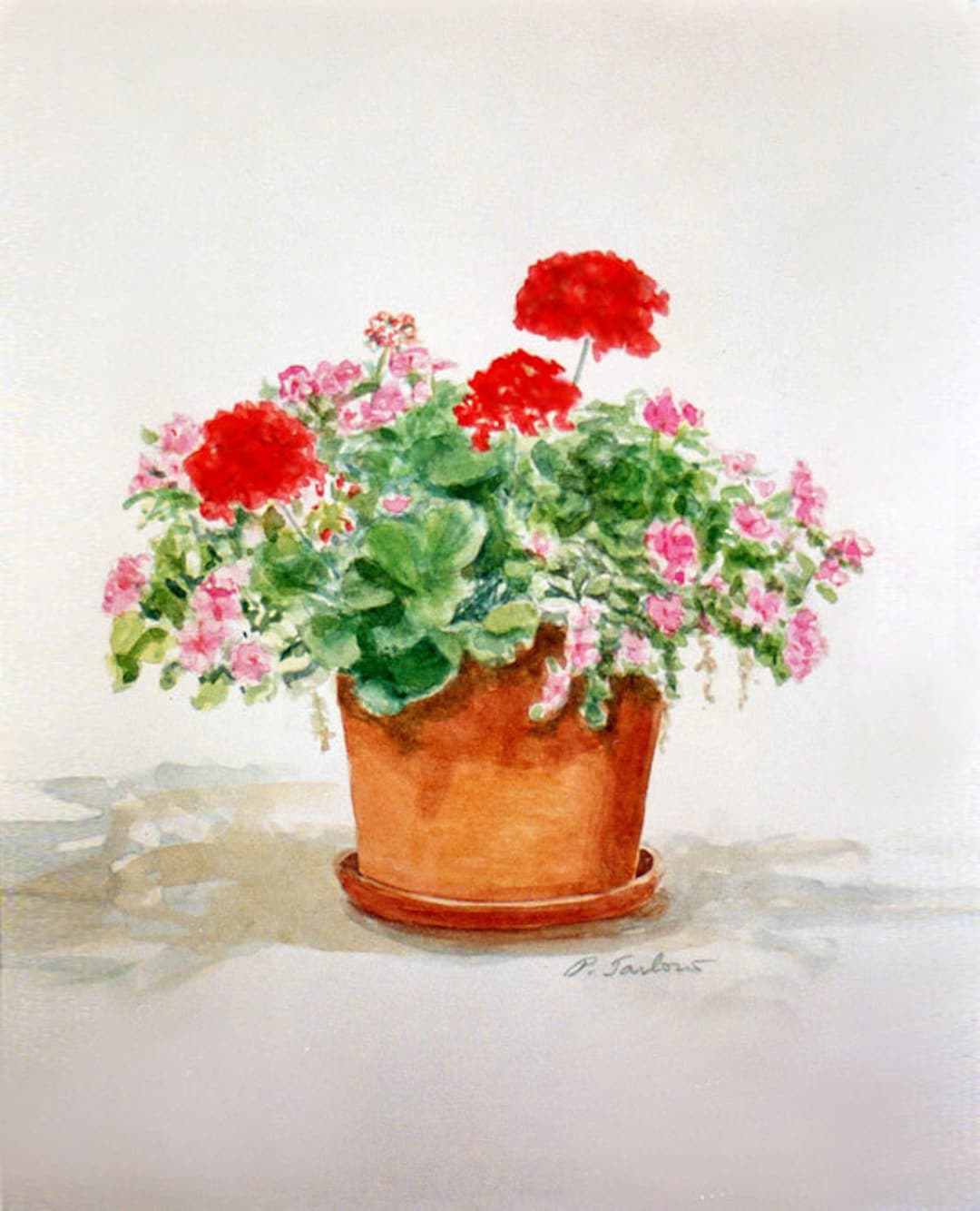 Geranium Art Print, Red Geraniums in Planter Art, Watercolor Spring ...