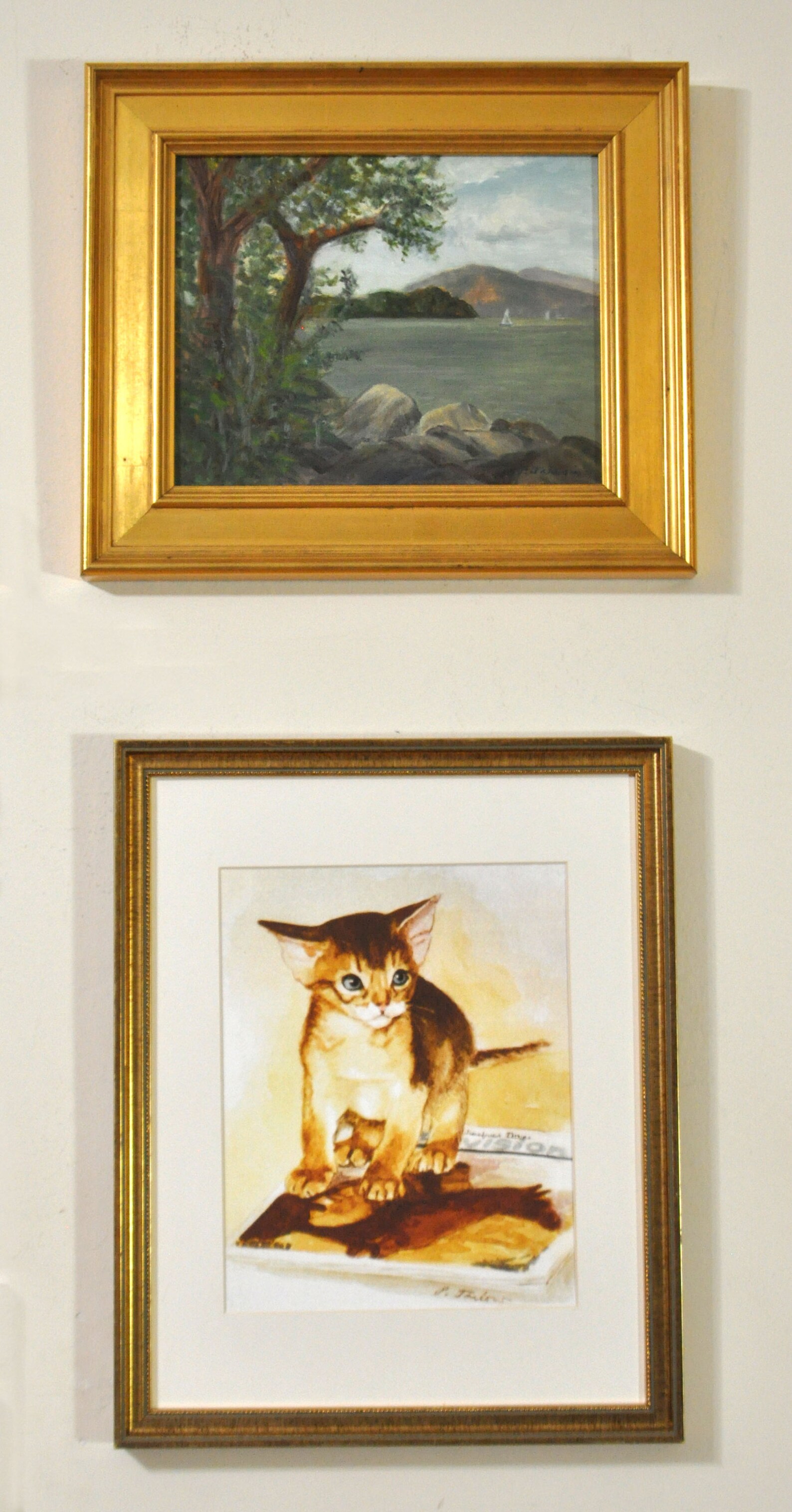 Cute Kitten, Abyssinian Cat Art Print, Abyssinian Kitten Art, Aby Cat ...