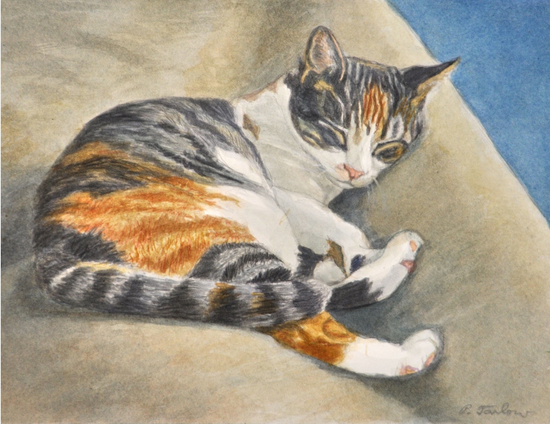 Calico Cat Art Print, Calico Tabby Cat From Original Watercolor With ...