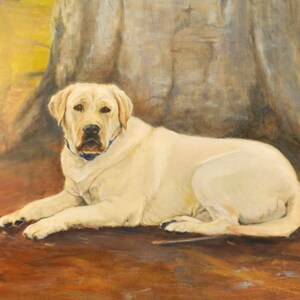 Yellow Labrador Retriever Art, Labrador Retriever Print, Yellow Lab ...
