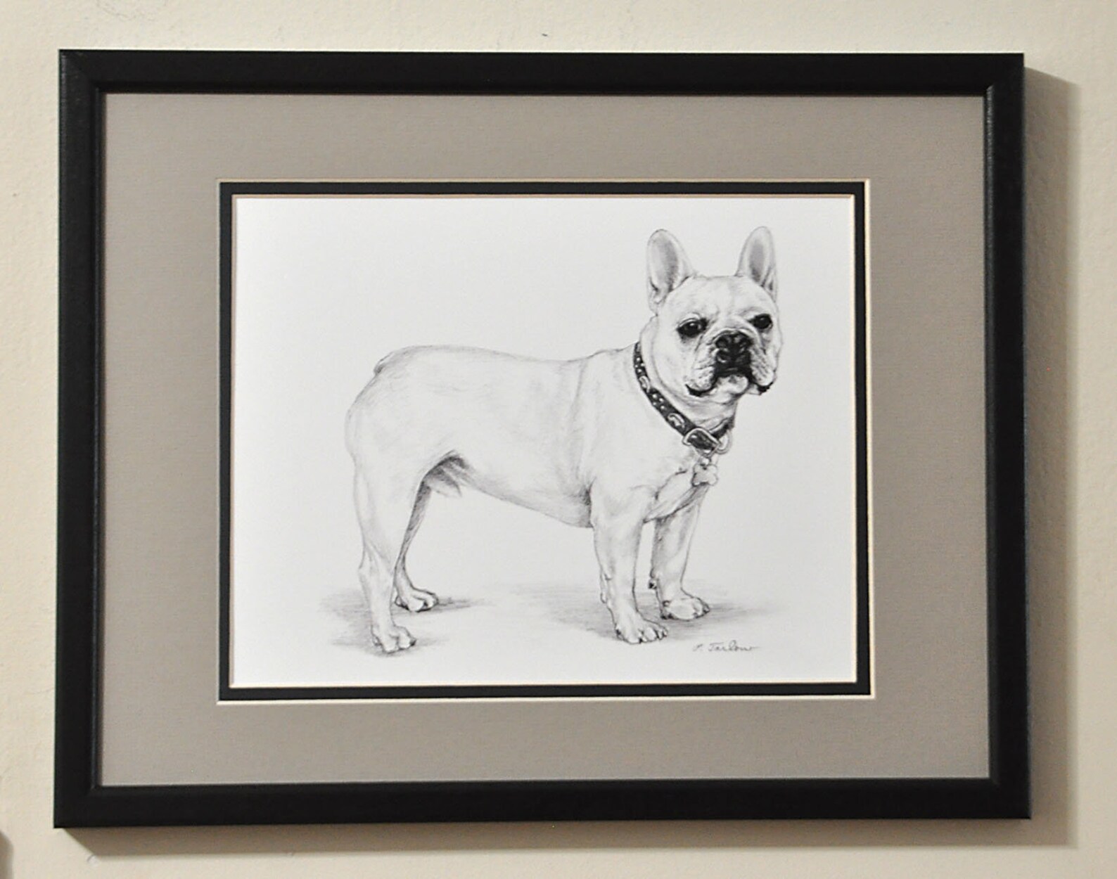 French Bulldog Art Print, French Bulldog Standing Pencil Drawing ...