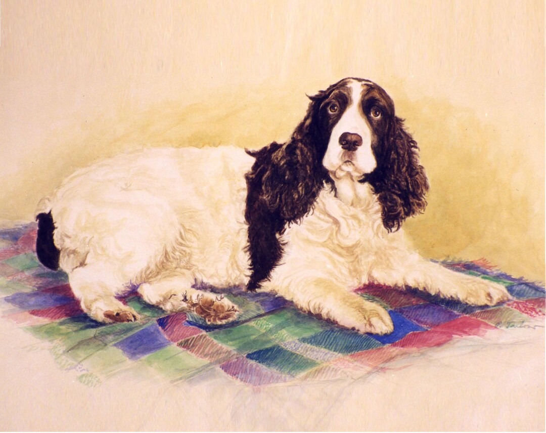 English Springer Spaniel on Blanket Art Print, Springer Spaniel ...