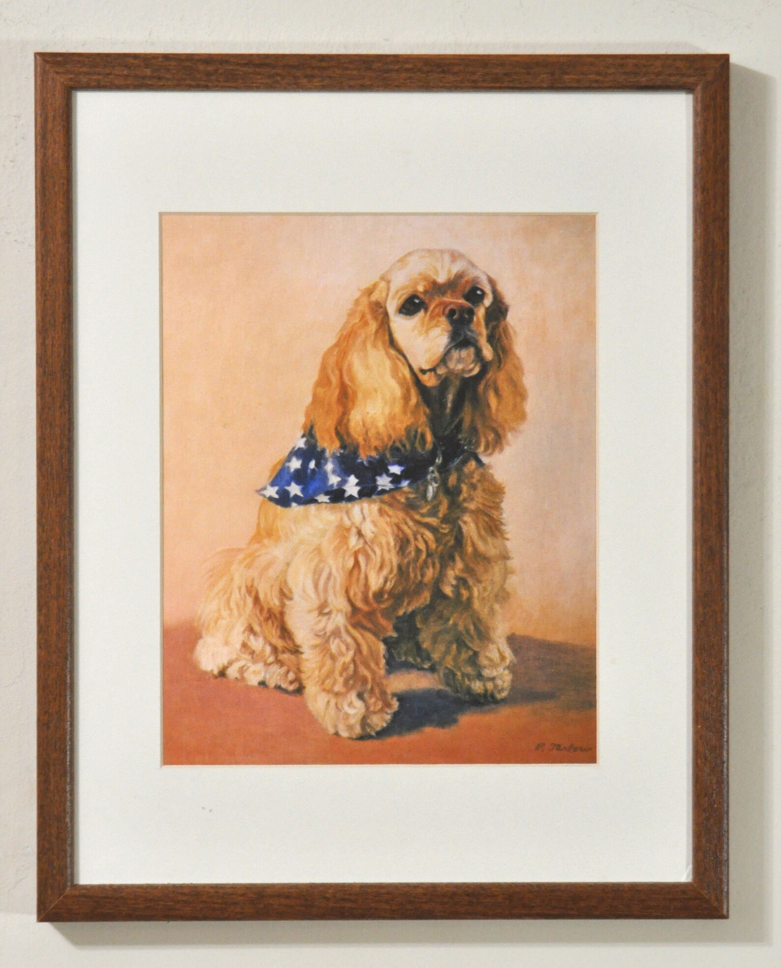 Cocker Spaniel Dog Art Print Cocker Spaniel Art | Etsy