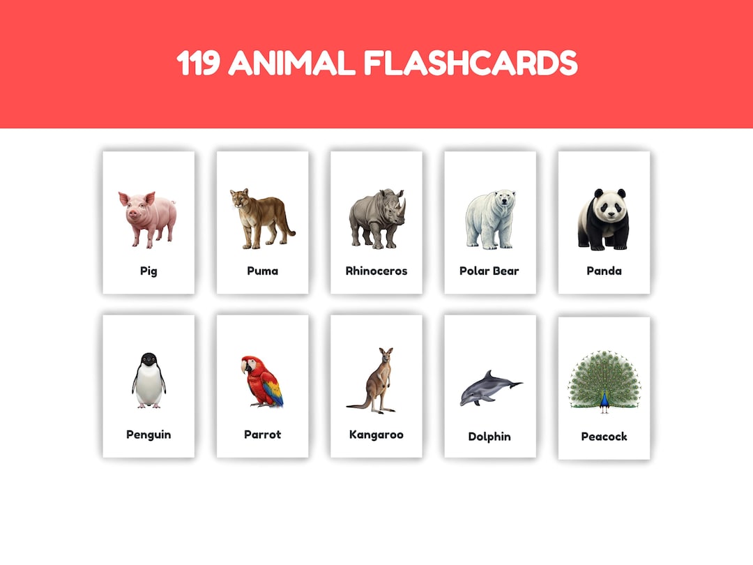 Realistic Animal Flashcards – Montessori Learning Cards (PDF Download ...