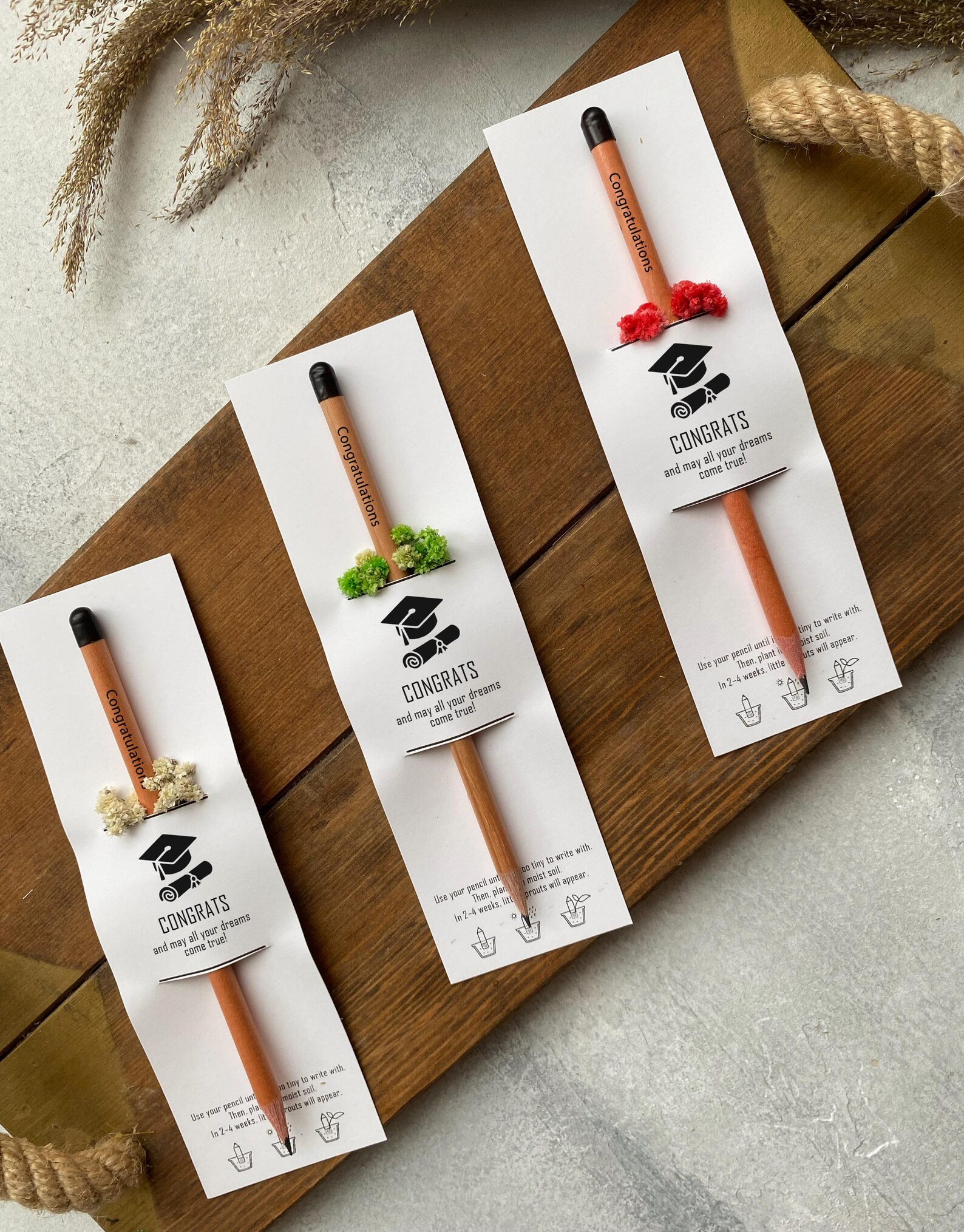 Personalized Graduation Party Pencils – Plantable Seed Favors for ...