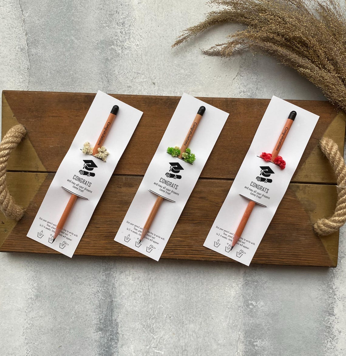 Personalized Graduation Party Pencils – Plantable Seed Favors for ...