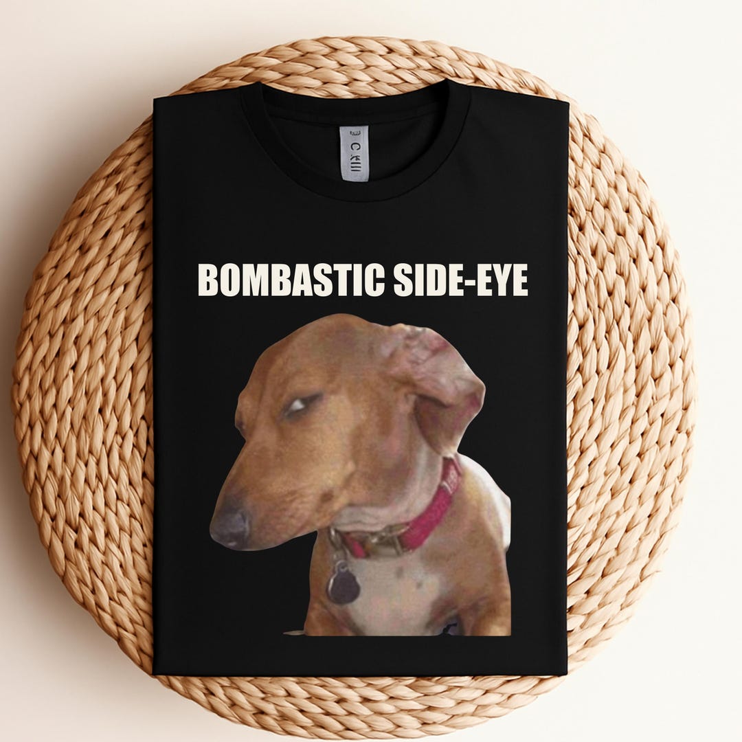 Bombastic Side Eye Funny Meme Shirt - Dachshund Side Eye Tiktok Tee ...