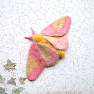Needle Felted, Moth Art, Winged Insect,brooch, Insect Lover Gift ...