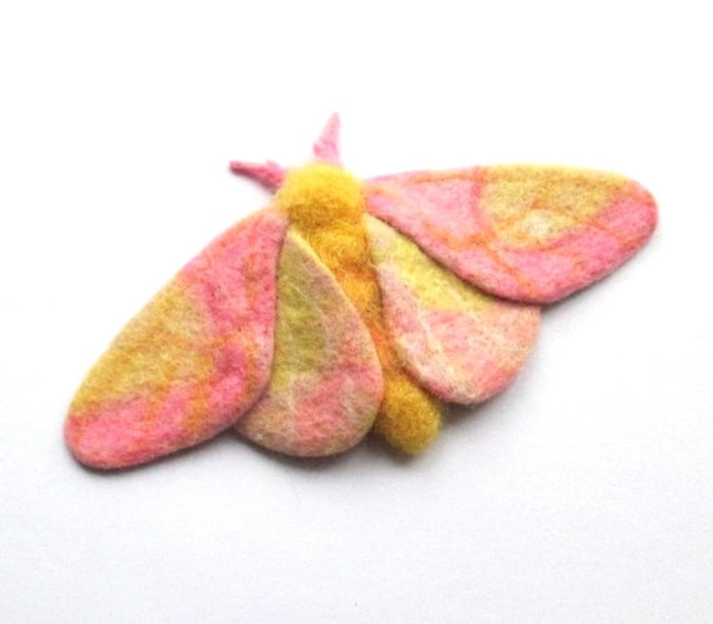 Needle Felted Moth Art Winged Insectbrooch Insect Lover - Etsy