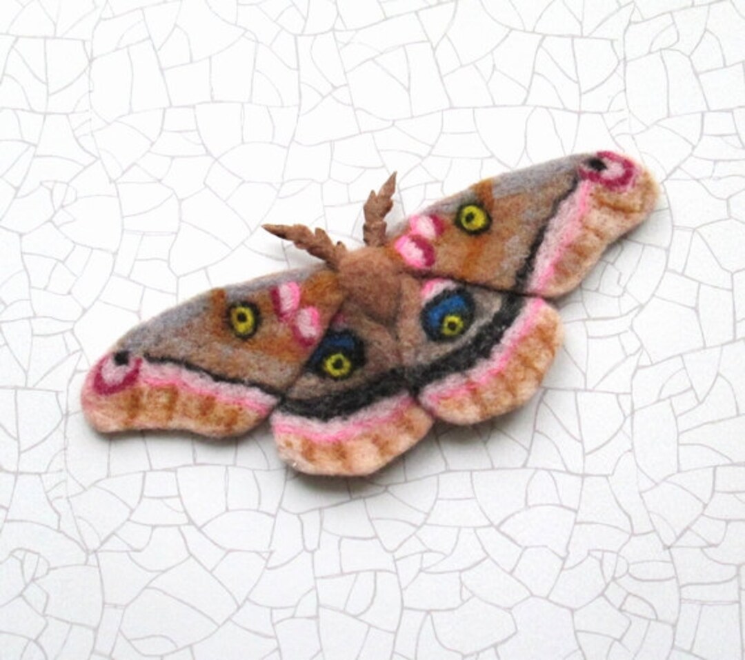 Felted Brooches,felted Butterfly,hand Felt Brooch,polyphemus Moth, for ...