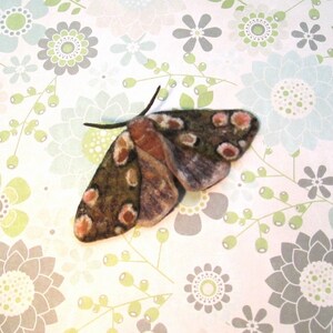 Needle Felted, Felt Brooch, Moth, Peach Blossom, Insect Brooches, Felt ...