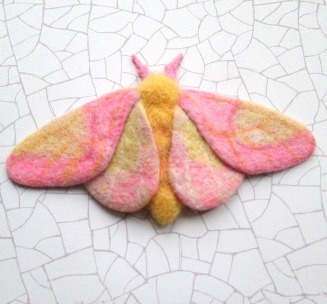 Needle Felted Moth Art Winged Insectbrooch Insect Lover - Etsy