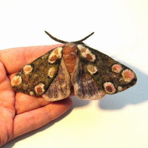 Needle Felted, Felt Brooch, Moth, Peach Blossom, Insect Brooches, Felt ...