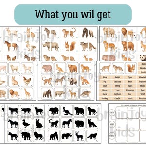 Animal Matching Activity Printable, Preschool Learning Game, Shadow ...