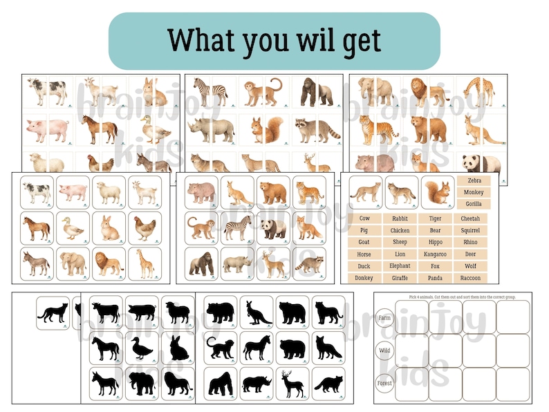 Animal Matching Activity Printable, Preschool Learning Game, Shadow ...