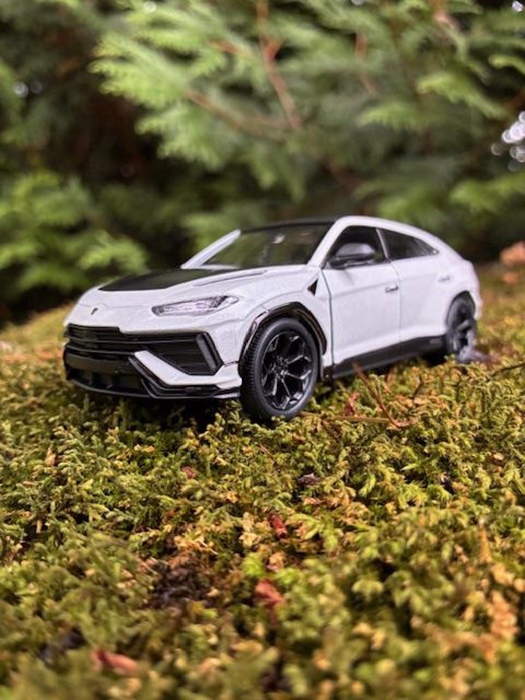 Lambo Off-road - Phot of Lamborghini Off-road - Etsy