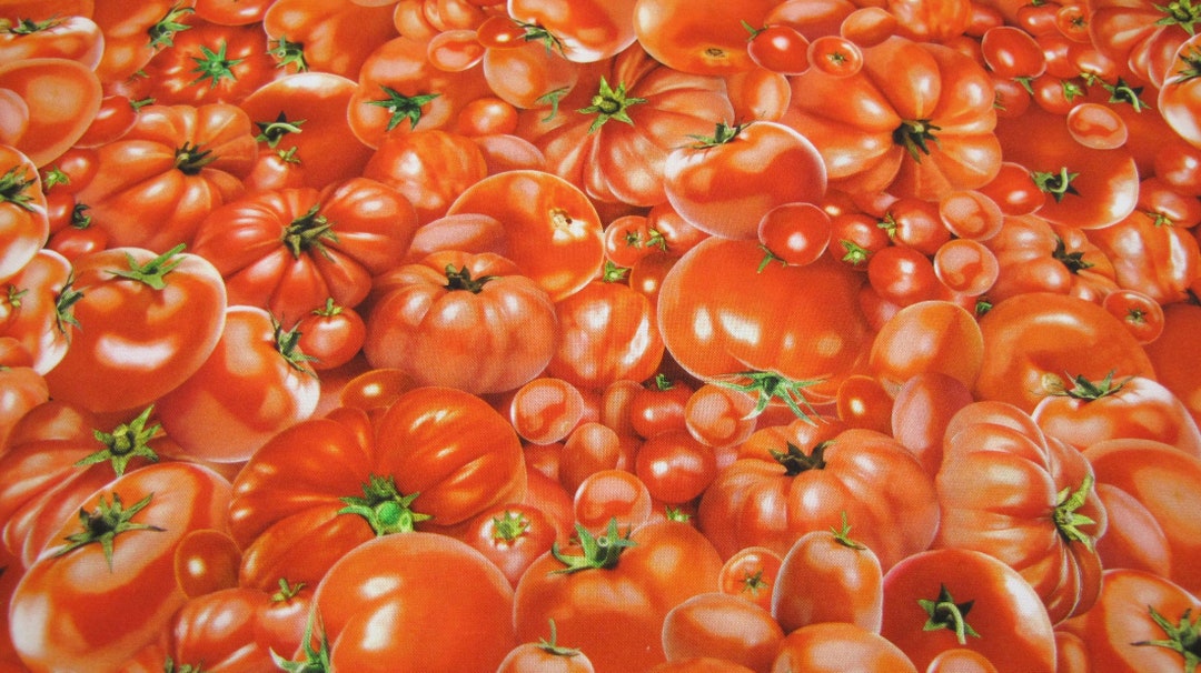 Timeless Treasures Food Fabrics Tomatoes CD1982 - Etsy