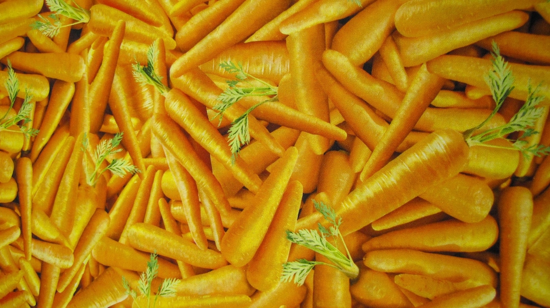 Remnant Timeless Treasures Food Fabrics Carrots CD1984, 35 Inch Remnant ...