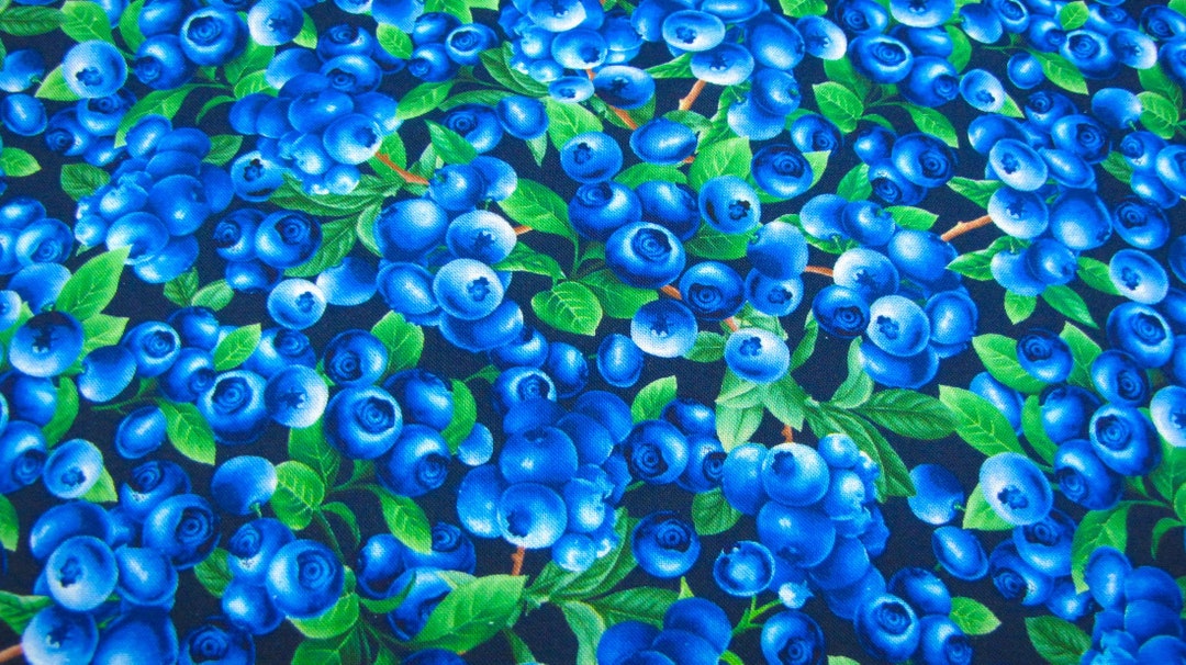 Timeless Treasures Fruit Fabrics Blueberries CD1746 - Etsy