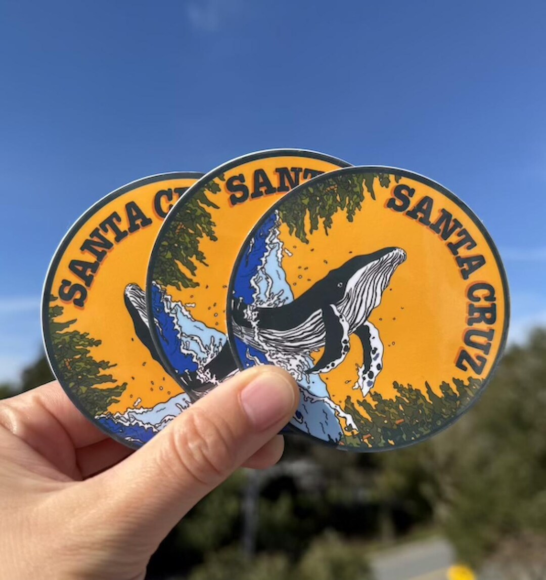 Santa Cruz Printed Vinyl Sticker, Ship From Santa Cruz, Car Sticker ...