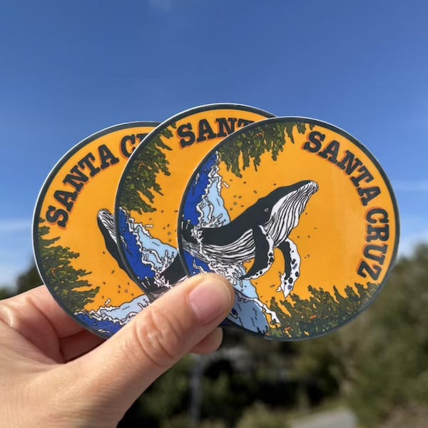 Santa Cruz Stickers - Etsy