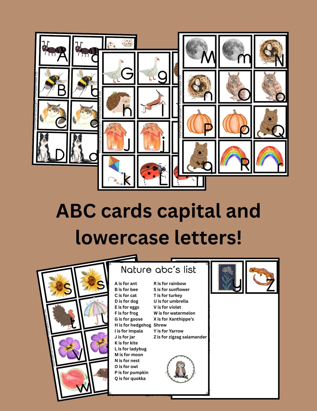 Alphabet Match Cards Homeschool Printable - Etsy