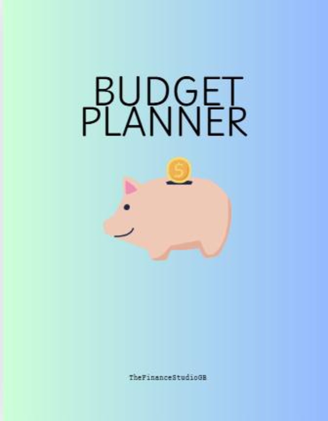 Comprehensive Budget Planner - Etsy