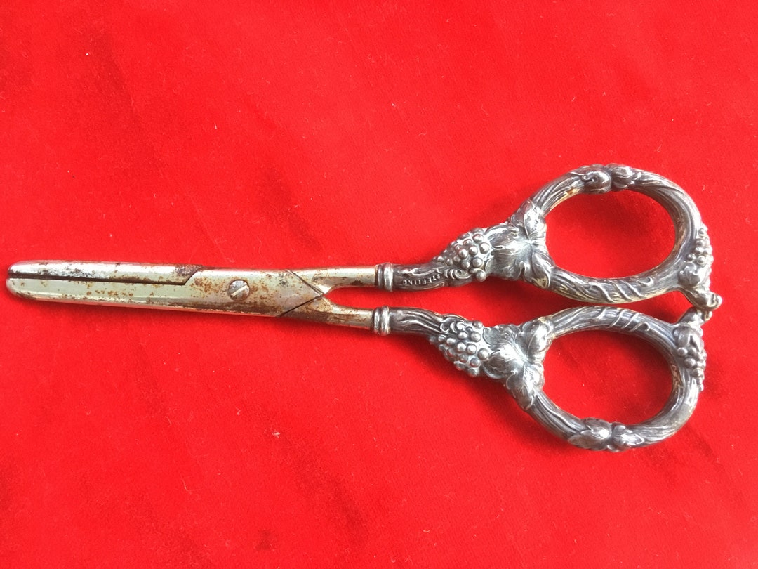 Antique German Scissors Sterling Silver Handles Grape Shears - Etsy