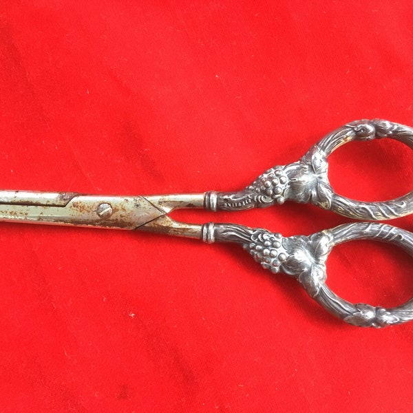 Antique German Scissors - Etsy