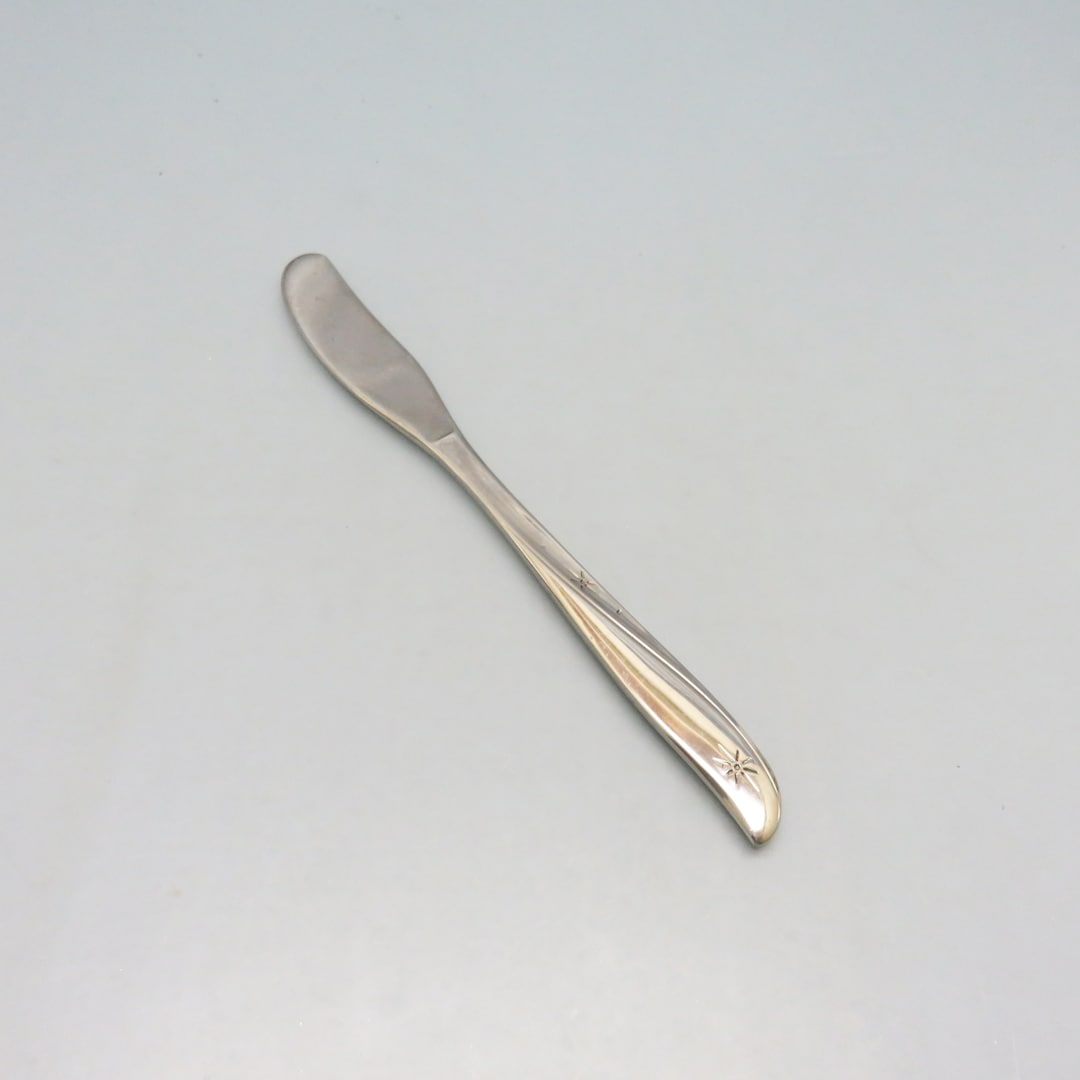 Individual Butter Knife, Twin Star Pattern, Stainless Pattern, Vintage ...
