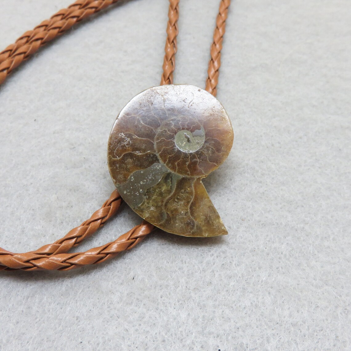 Madagascar Snail Shell Bolo Tie Handmade Bolo Tie - Etsy