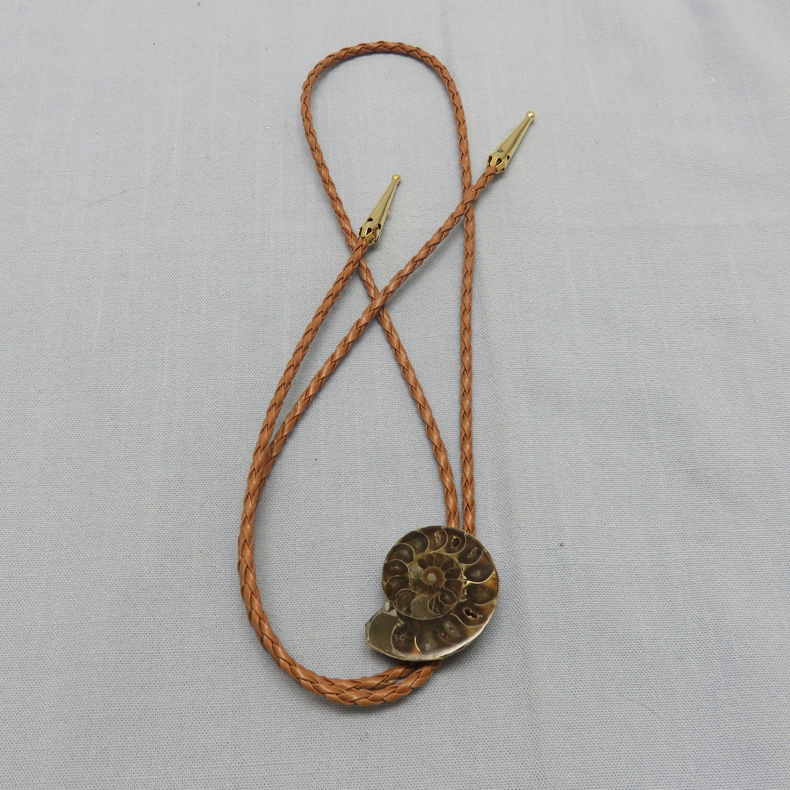 Madagascar Snail Shell Bolo Tie Handmade Bolo Tie - Etsy