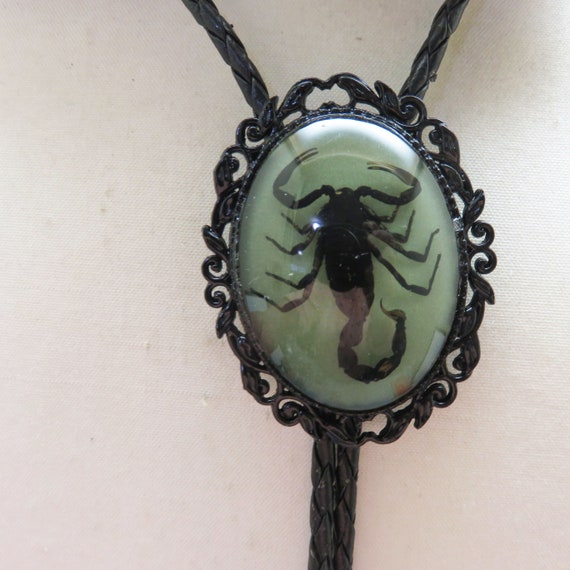 Real Scorpion in Clear Resin Bolo Tie Gothic Glow in the Dark - Etsy