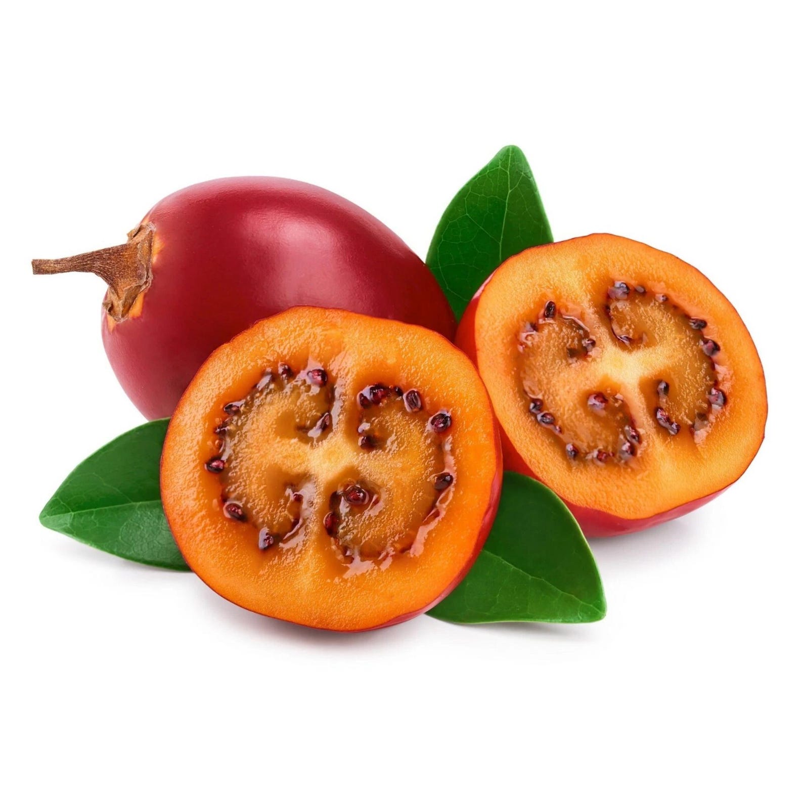 20 Tamarillo Seeds Tomato Tree Cyphomandra Betacea Exotic Fruit Seeds ...
