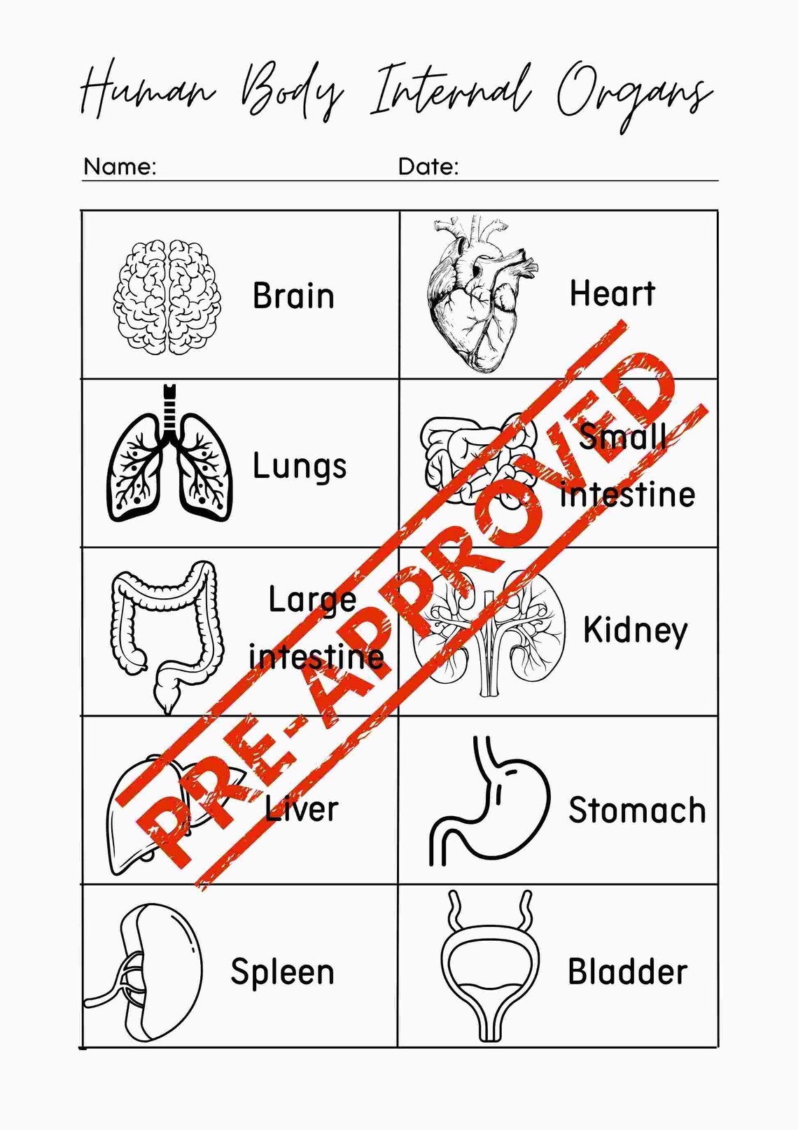 Human Body Internal Organs Activity Pack | Printable Science Worksheets ...