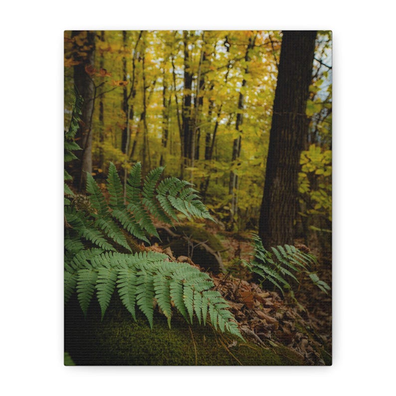 Cozy Forest Ferns Canvas | Matte Stretched Canvas Wall Art - Etsy