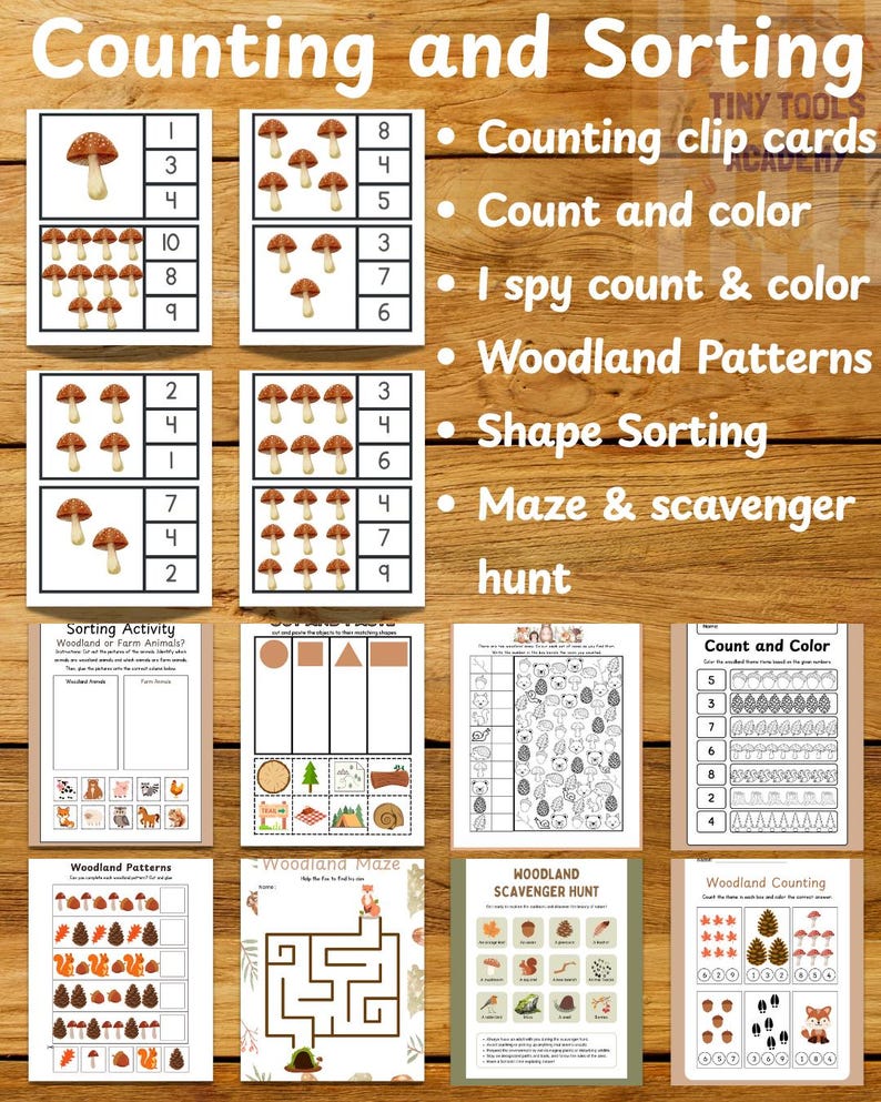 Woodland Animals Activity Pack | Preschool Learning Printables (PDF) - Etsy