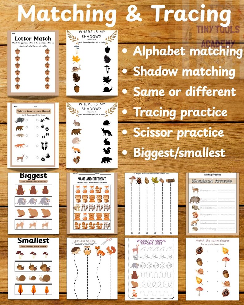 Woodland Animals Activity Pack | Preschool Learning Printables (PDF) - Etsy