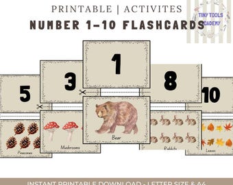 Woodland Theme Number Flashcards | 1–10 Counting Cards for Preschool ...