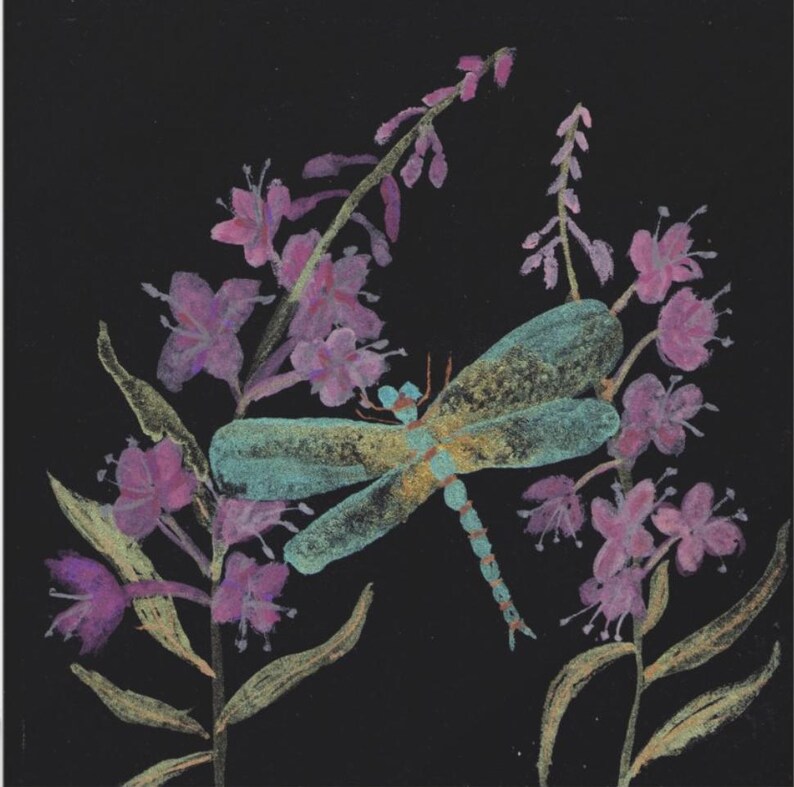Black Postcard of Dragonfly With Alaskan Fireweed and Matching Printed ...